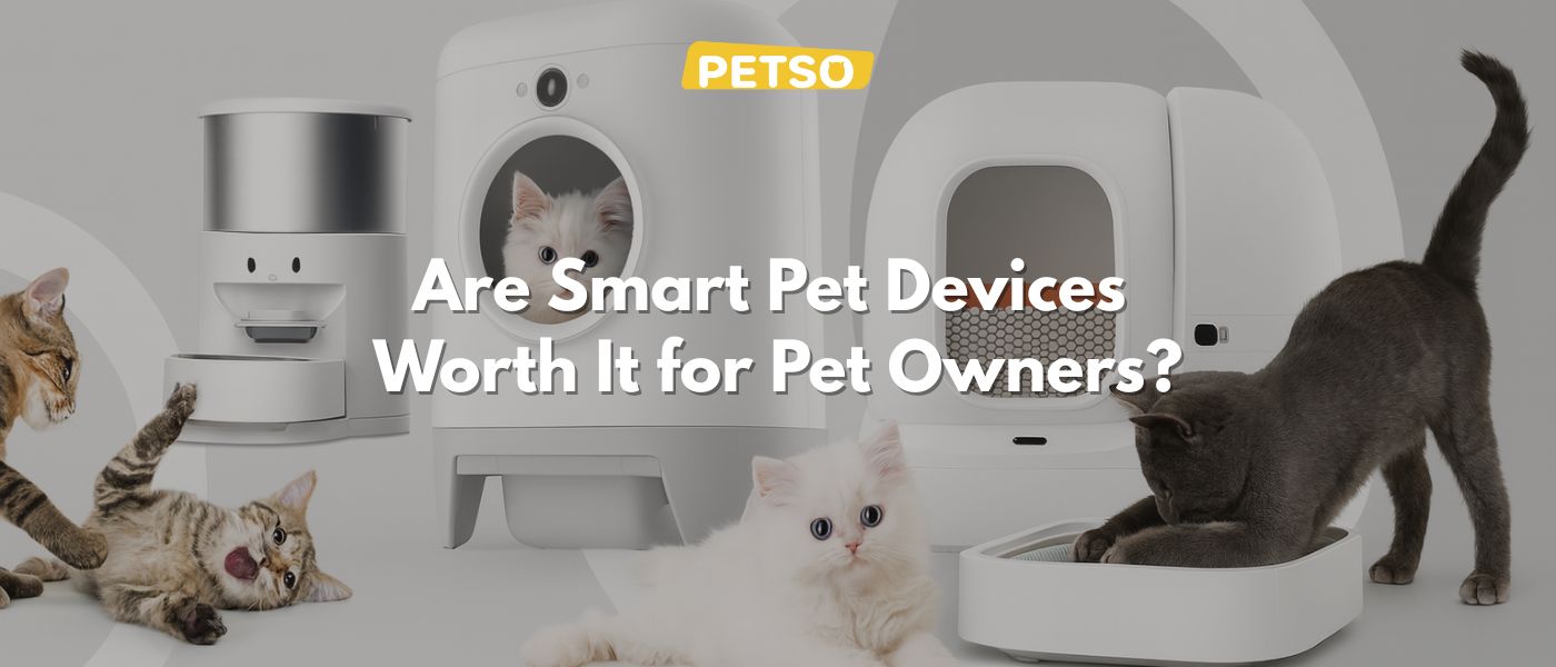 Are Smart Pet Devices Worth It for Pet Owners? – Petso