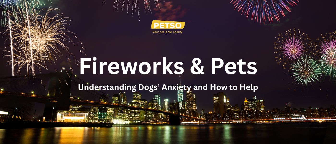 Fireworks & Pets: Understanding Dogs’ Anxiety and How to Help – Petso