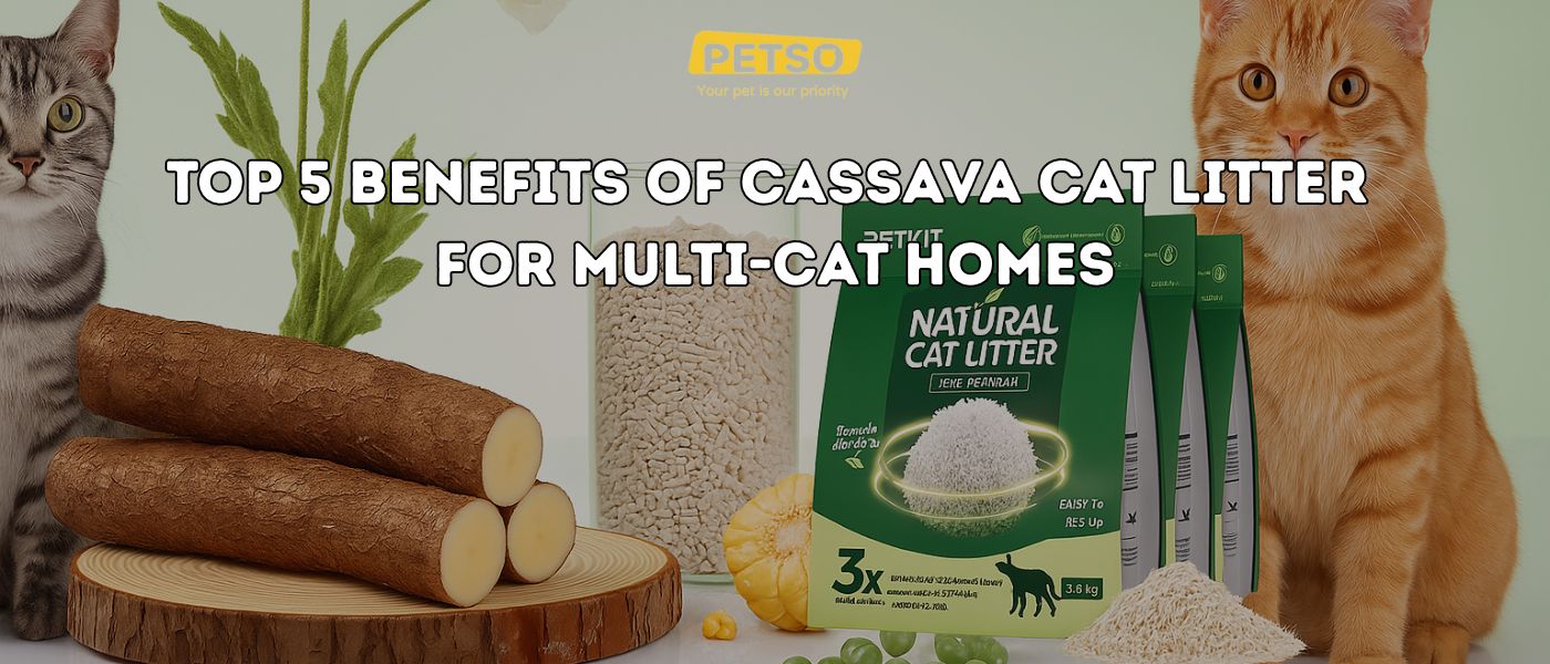 Top 5 Benefits of Cassava Cat Litter for Multi-Cat Homes – Petso