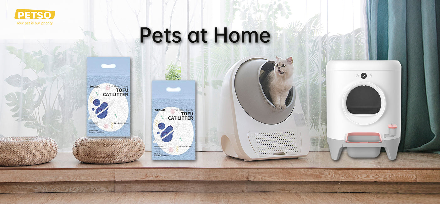 Embracing the Pets At Home Lifestyle – Petso