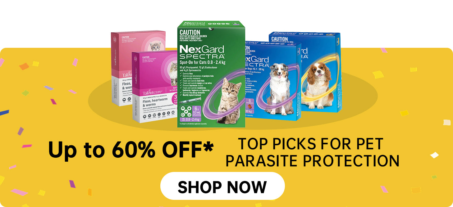 Online Sale on Cat and Dog products | Petso