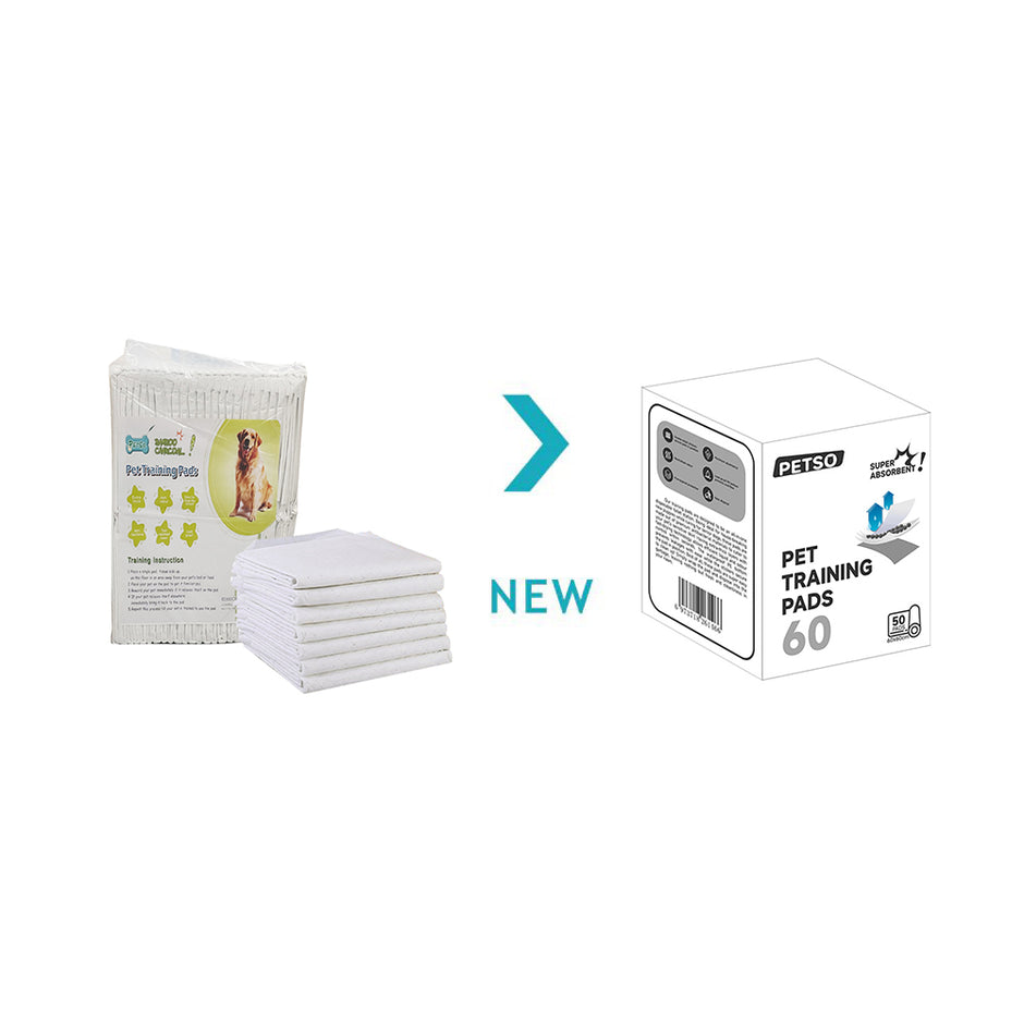 Cat Training And Cleaning Up | Petso