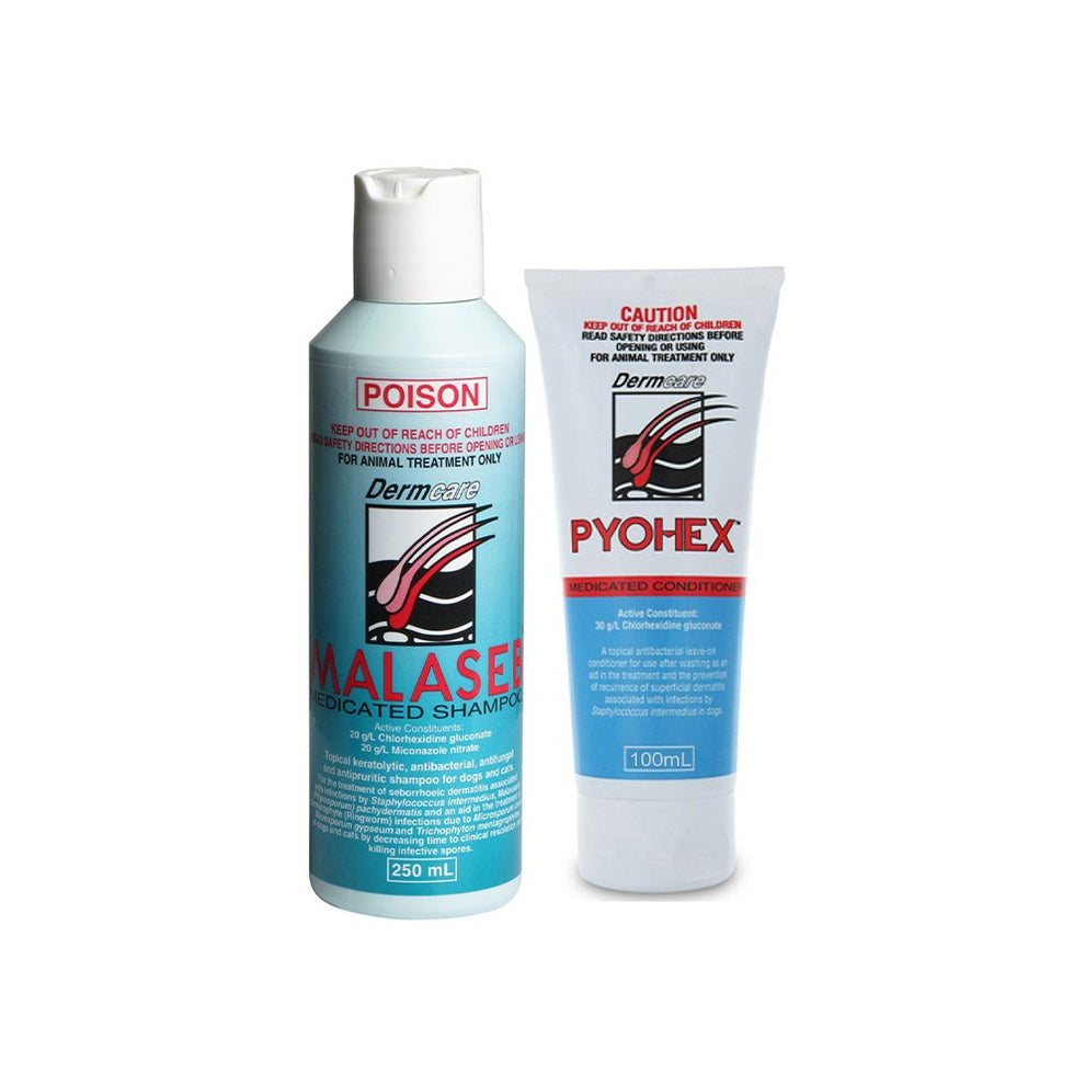MALASEB Medicated Shampoo & Pyohex Conditioner Comb Pack For Dogs – Petso