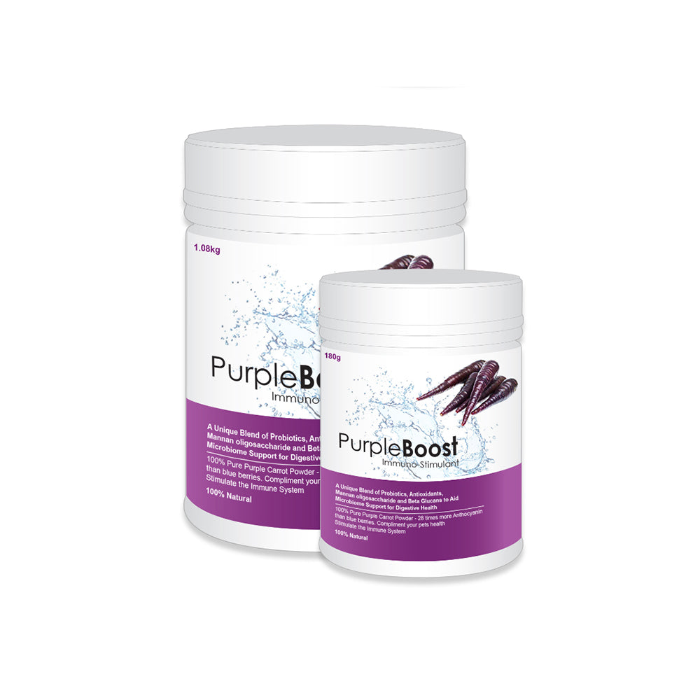 LIFEWISE Purple Boost Immuno-Stimulant with Probiotics | Petso Au