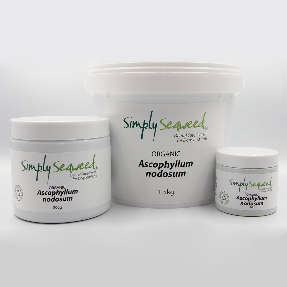 SIMPLY SEAWEED Dental Supplement For Dogs & Cats – Petso