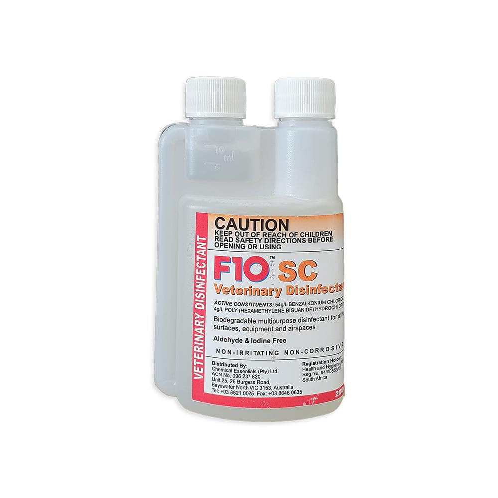 Cat Training And Cleaning Up | Petso