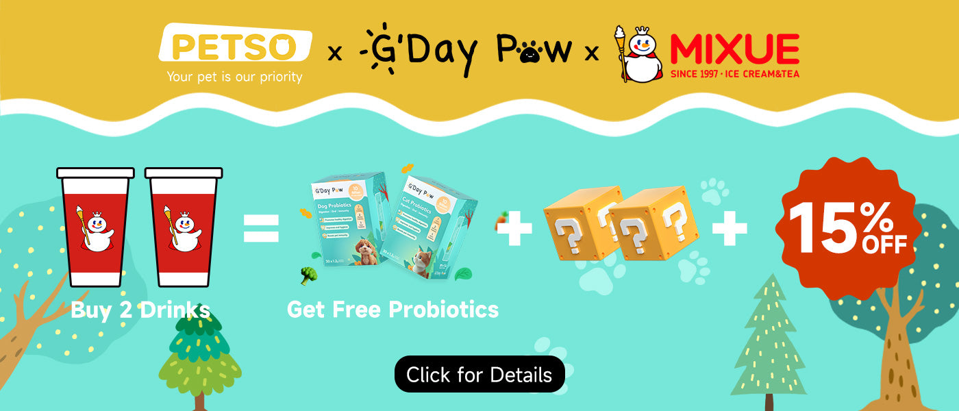 Automatic Pet Feeder, Carrier Bags, Pet Dryer, Deodoriser – Petso