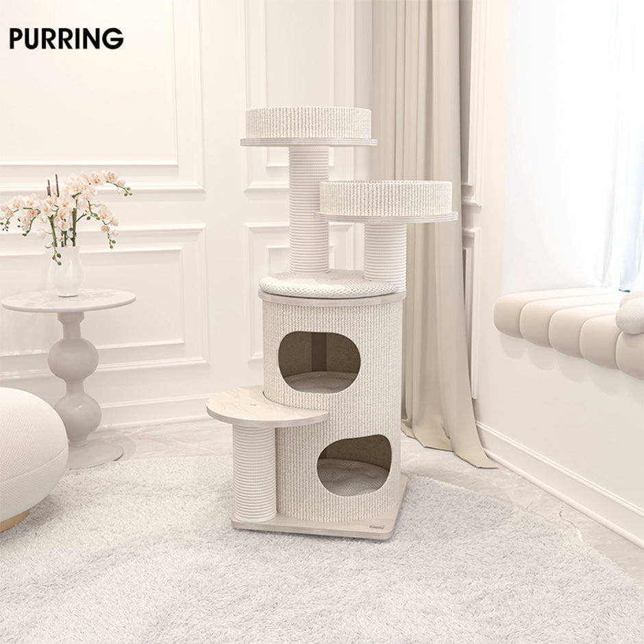 Save Big on Cat Trees & Pet Toys – Petso