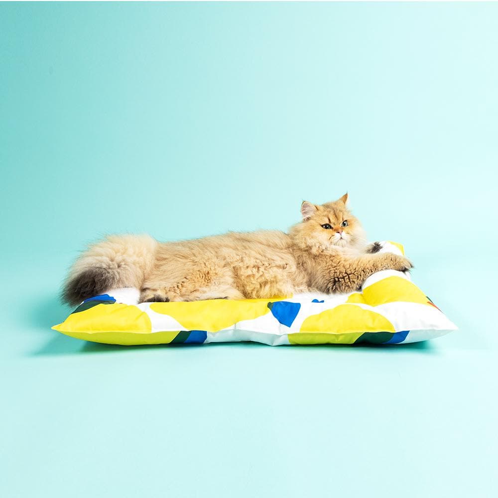 Best Dog Beds Up to 50% Off | Deep Sleep Pet Beds for All Dogs – Petso