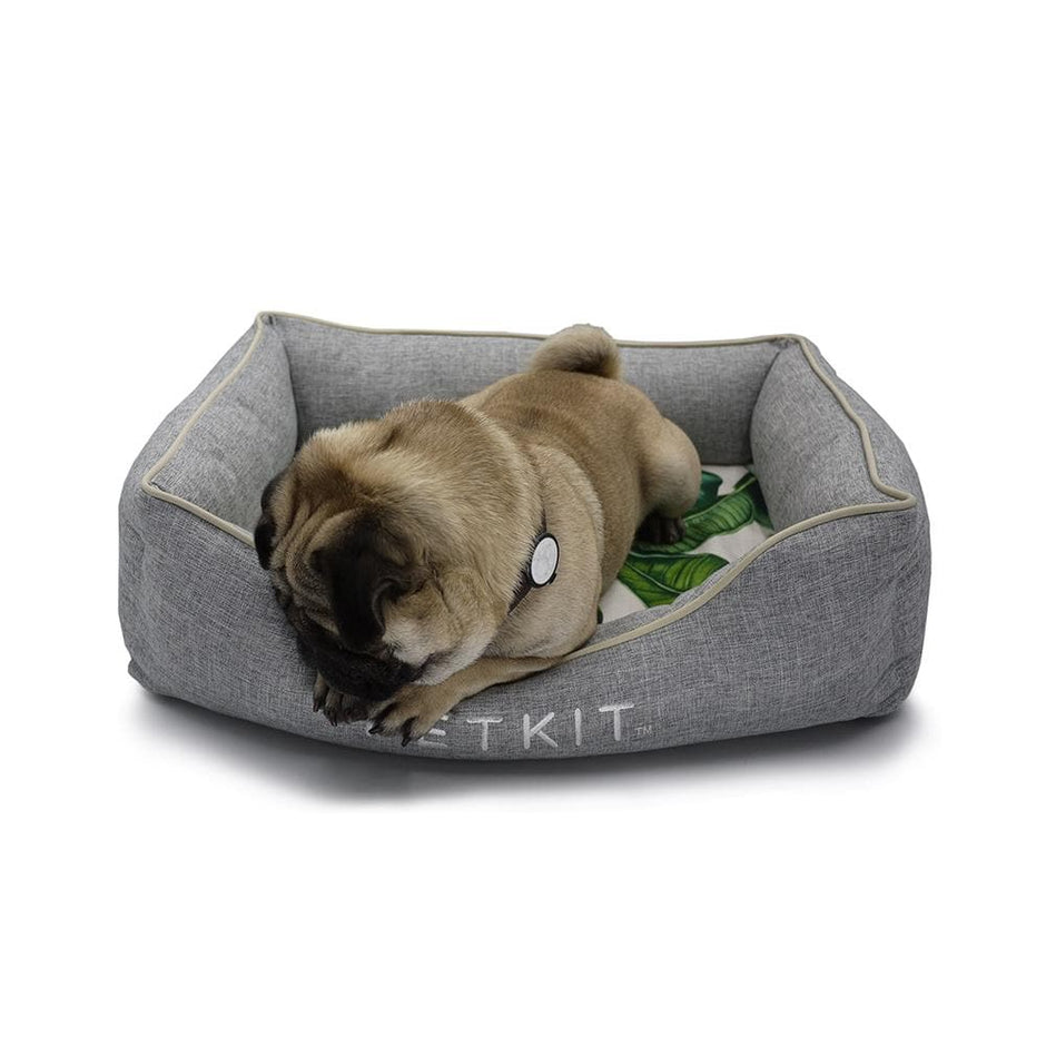 Best Dog Beds Up to 50% Off | Deep Sleep Pet Beds for All Dogs – Petso