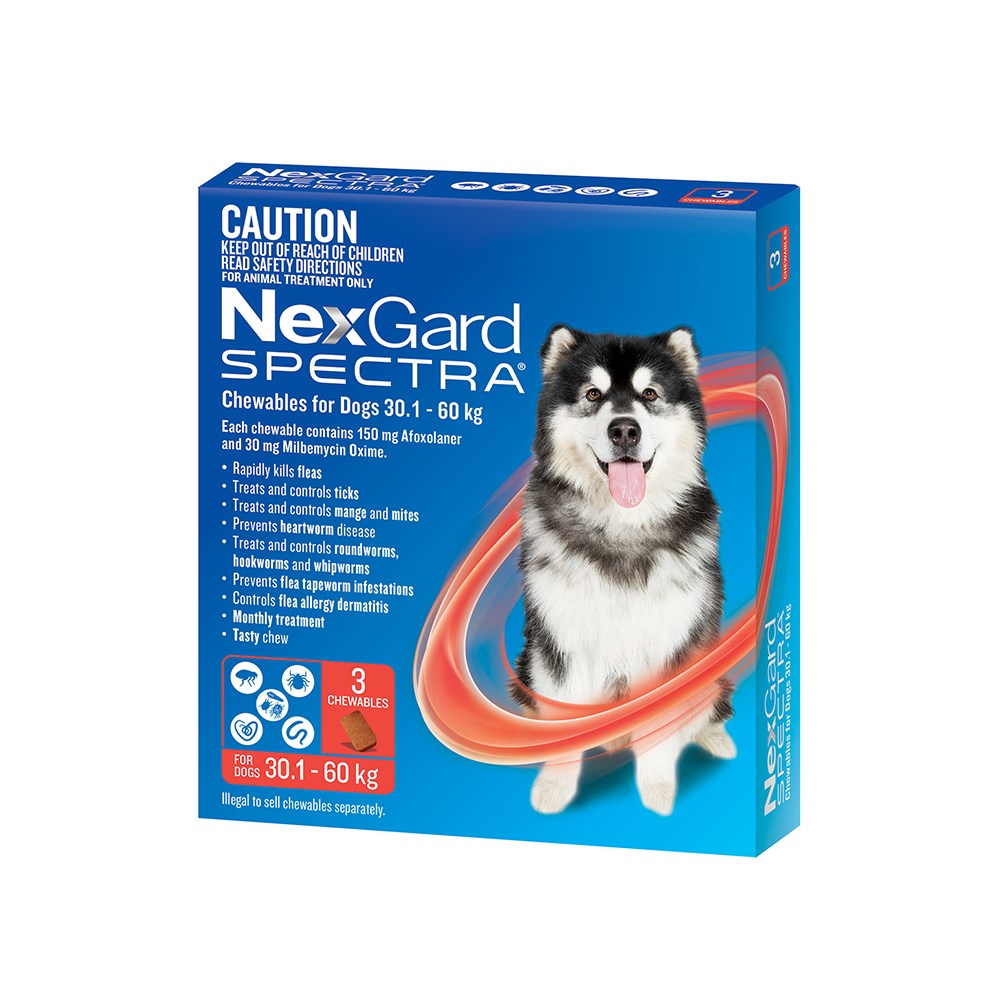 NEXGARD SPECTRA Dog Fleas & Ticks Chewables 3 (30.1 - 60kg) | Petso Au