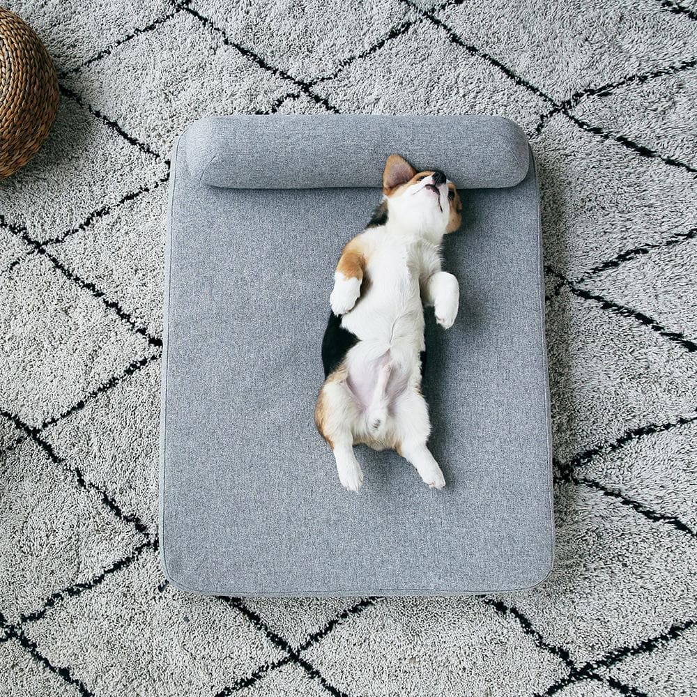 Best Dog Beds Up to 50% Off | Deep Sleep Pet Beds for All Dogs – Petso