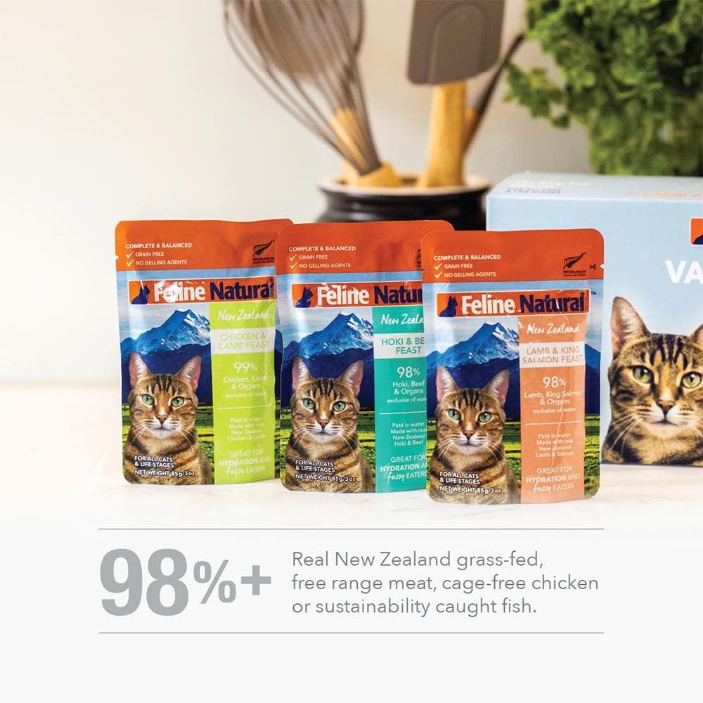 Top Cat Food Picks | Petso Online